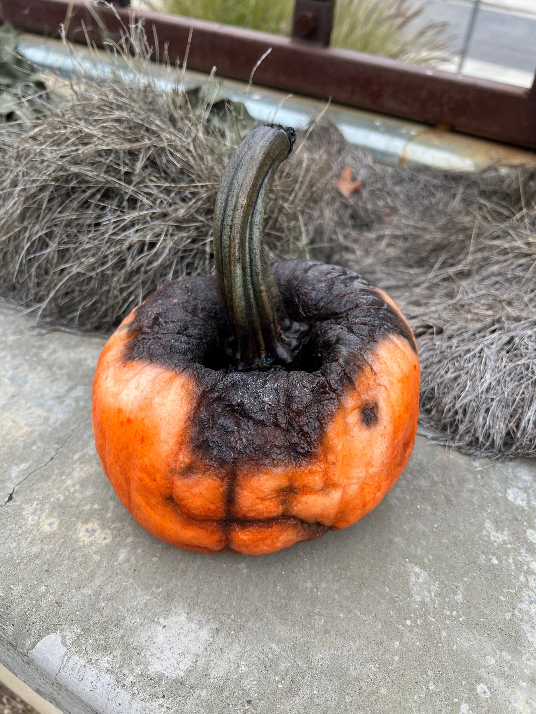 Rotting Pumpkin Prop, Pen Holder, Desk Art, Halloween Gift, Gourd ...