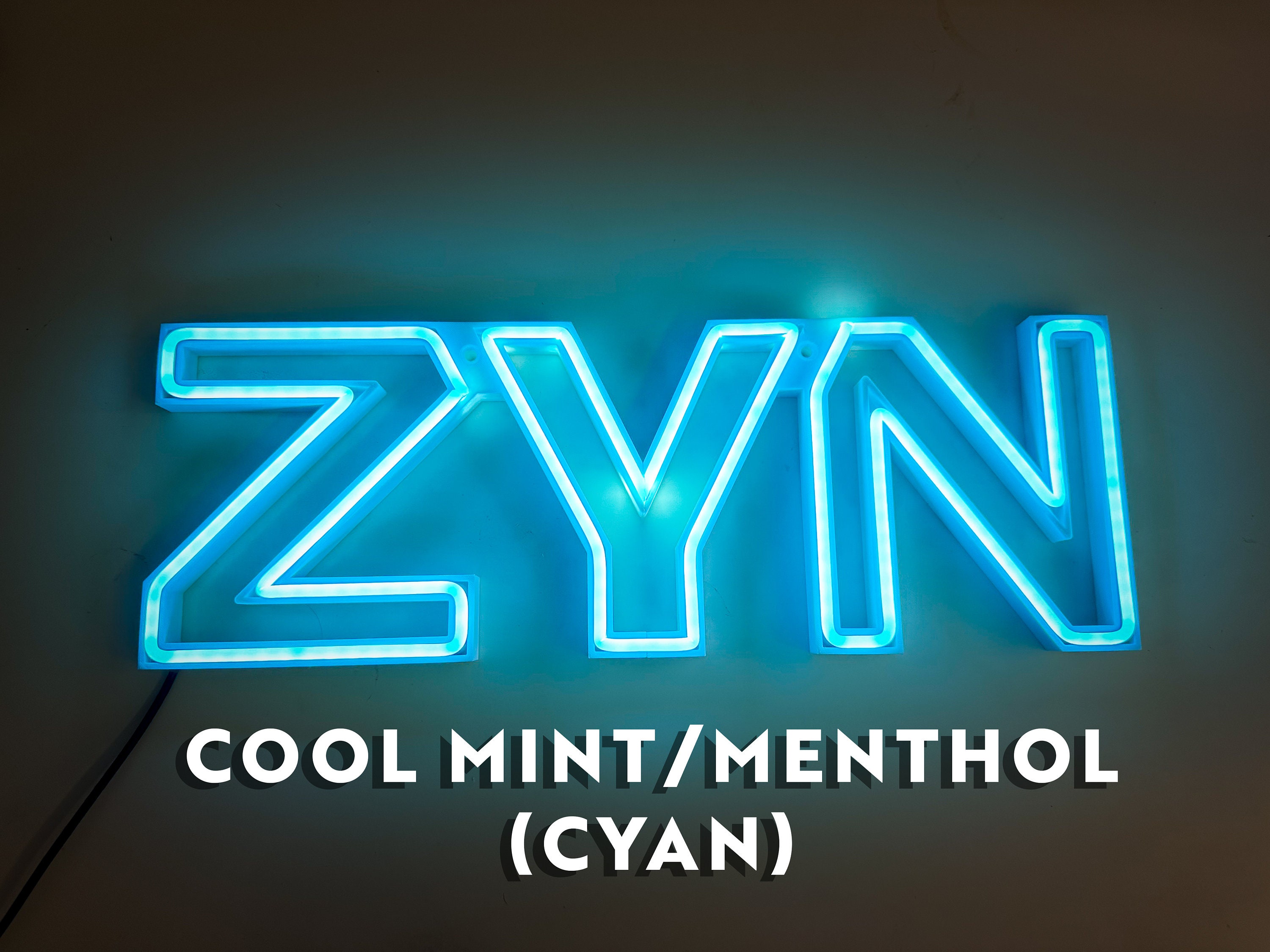 Customizable ZYN LED Neon Sign, Vibrant Color Options & White Shell ...