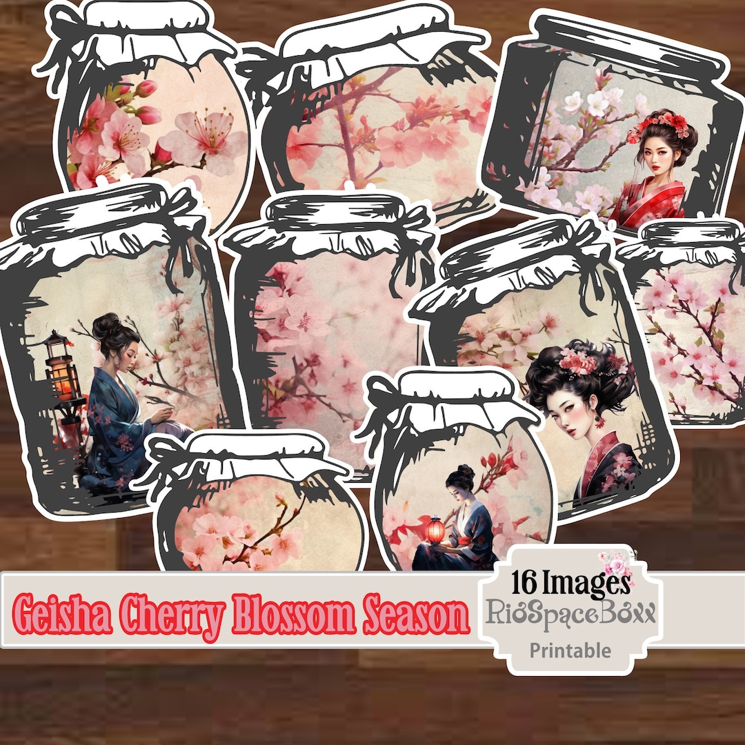 Japanese Sakura Cherry Blossom, Geisha, Hanami, Spring, Pink, Fussy ...