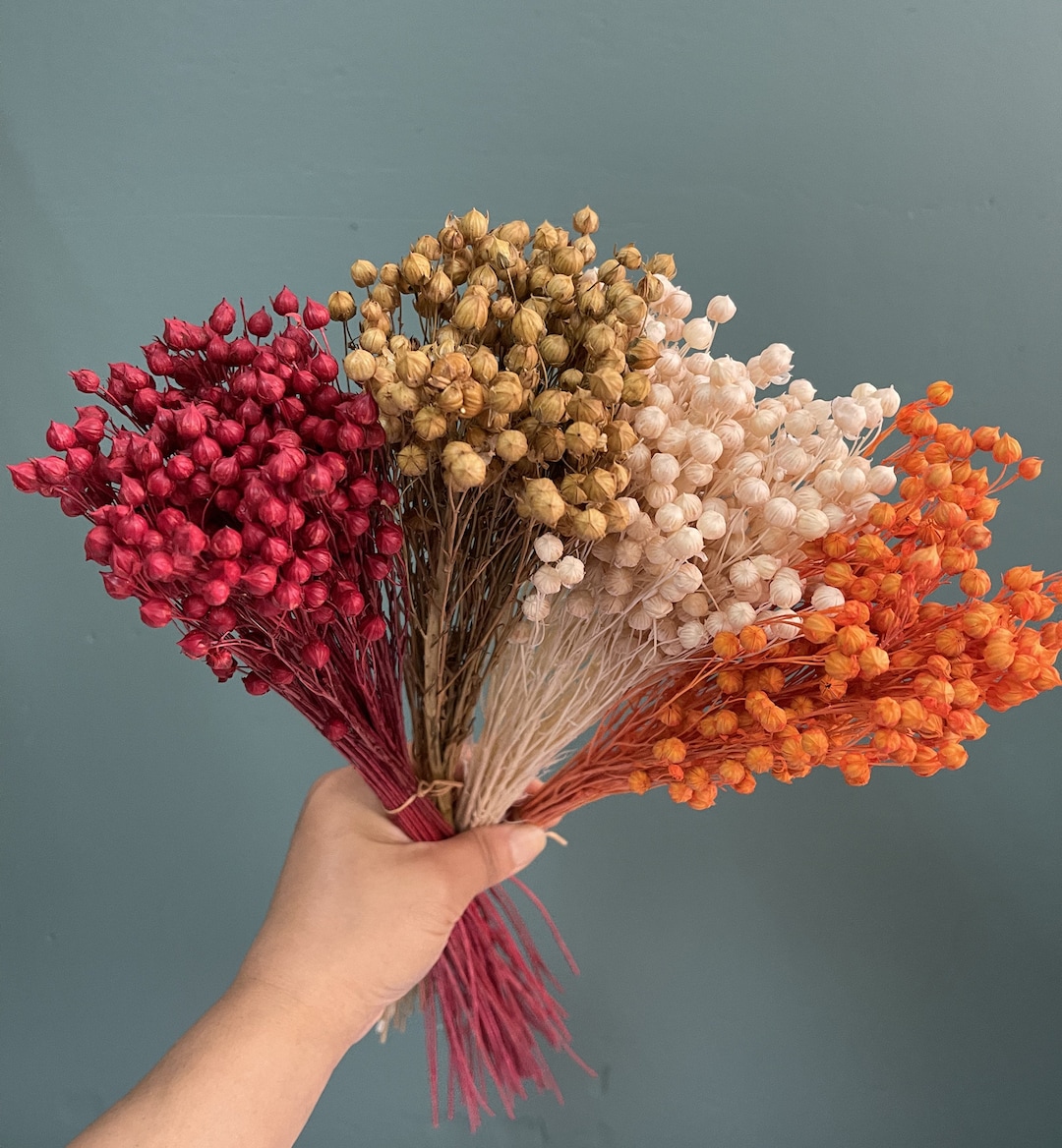 Multi-color Dried Valentine Fruit Stems: Handmade Floral Decor - Etsy