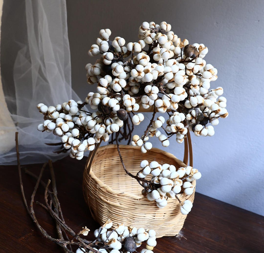 Dried Tallow Berry Bouquet: Natural White Fruit Stems, DIY Decor - Etsy