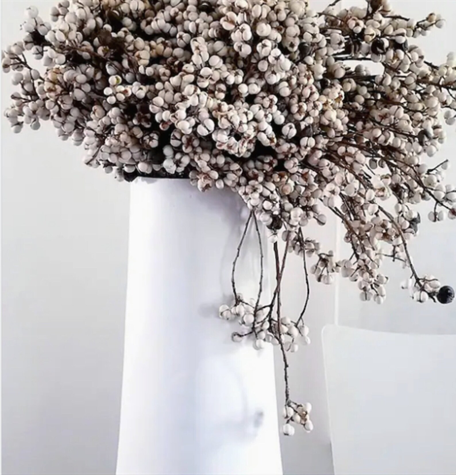 Dried Tallow Berry Bouquet: Natural White Fruit Stems, DIY Decor - Etsy