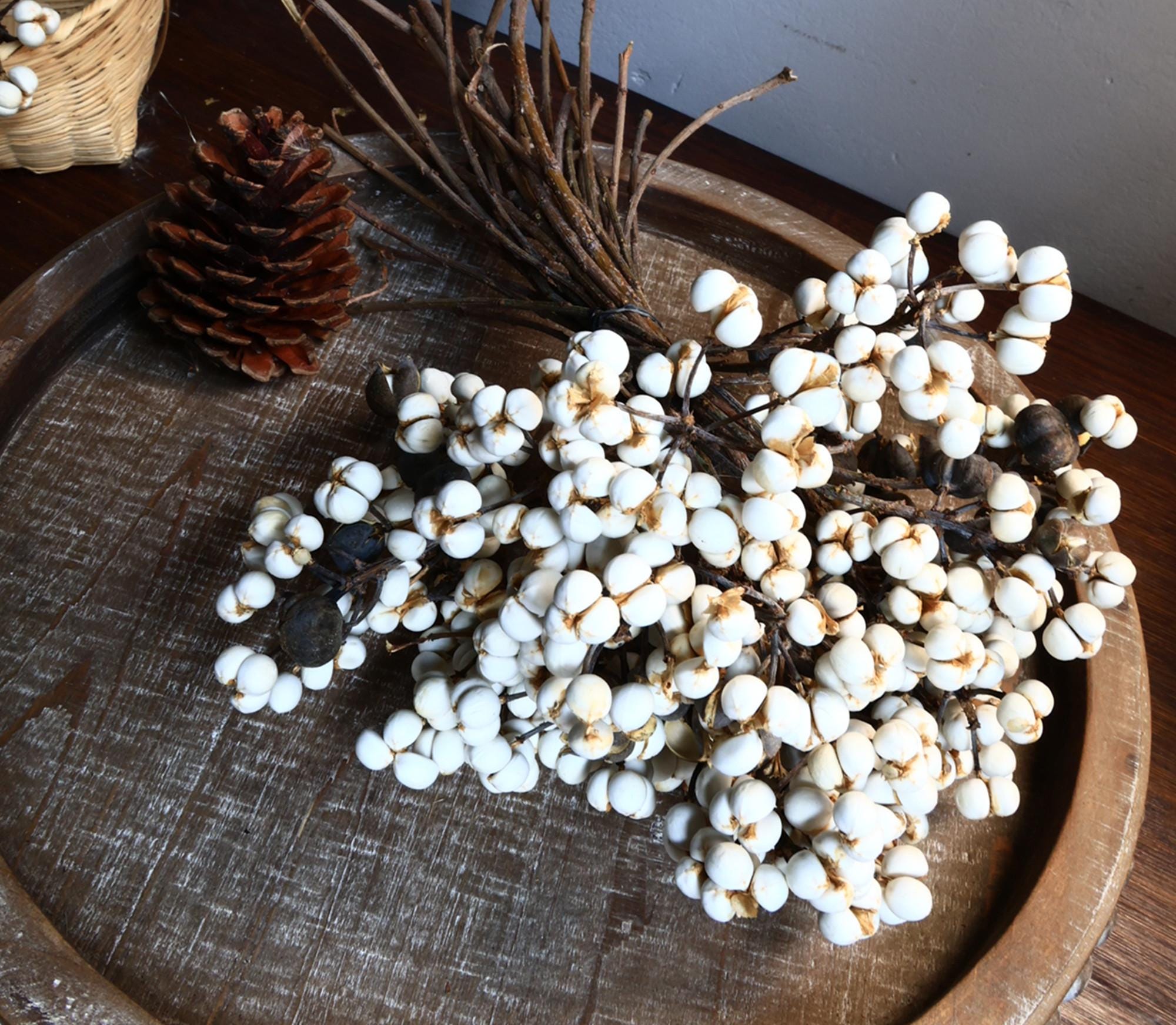 Dried Tallow Berry Bouquet: Natural White Fruit Stems, DIY Decor - Etsy