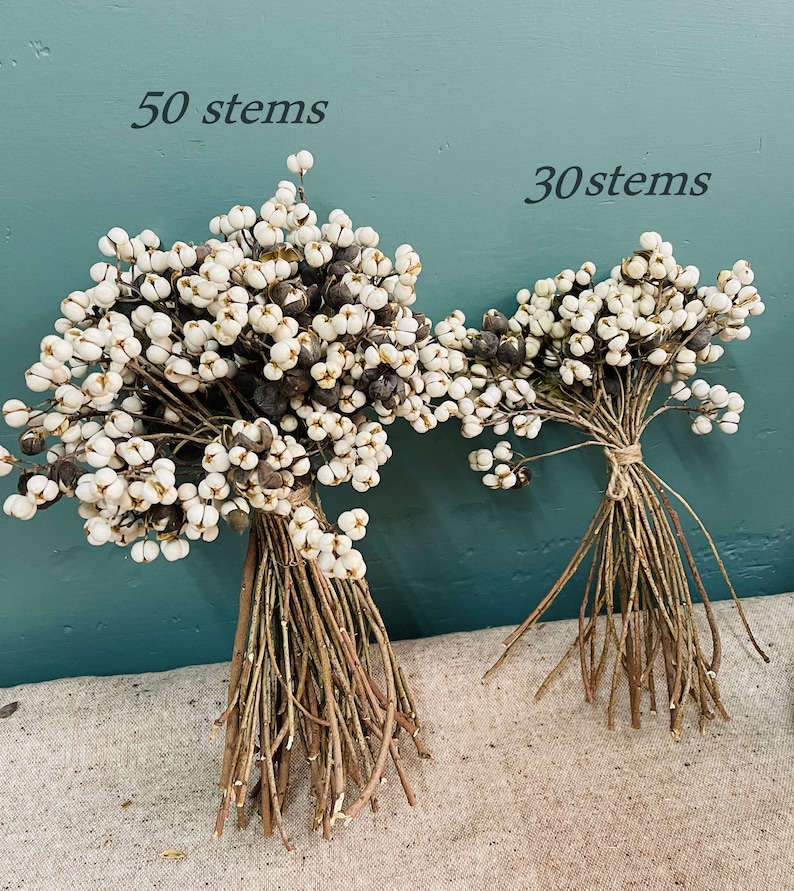 Dried Tallow Berry Bouquet: Natural White Fruit Stems, DIY Decor - Etsy