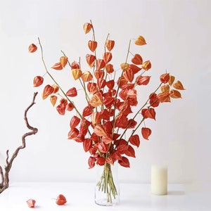 Real Dried Physalis Branches，natural Lantern Fruit Branches，dry Flowers ...