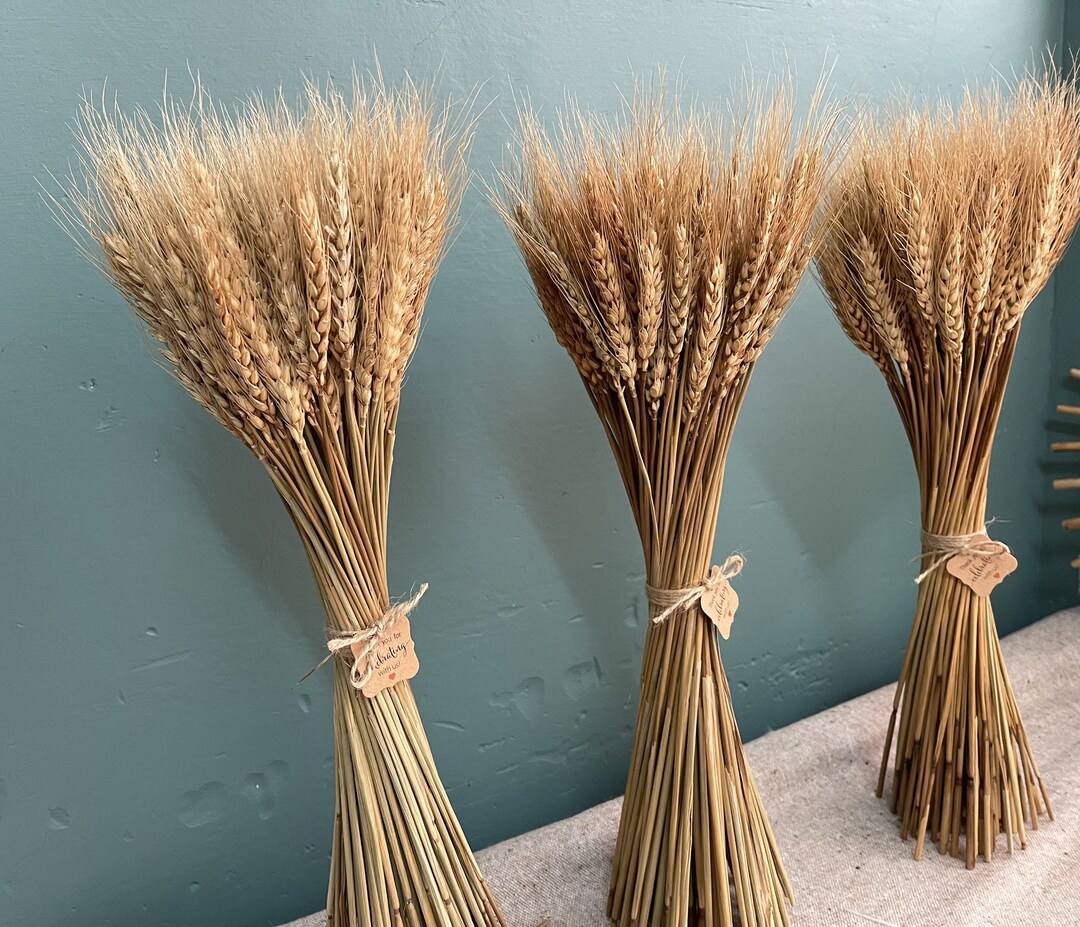 100 Stem Wheat/natural Wheat/wheat Bouquet/wedding Home Decoration - Etsy