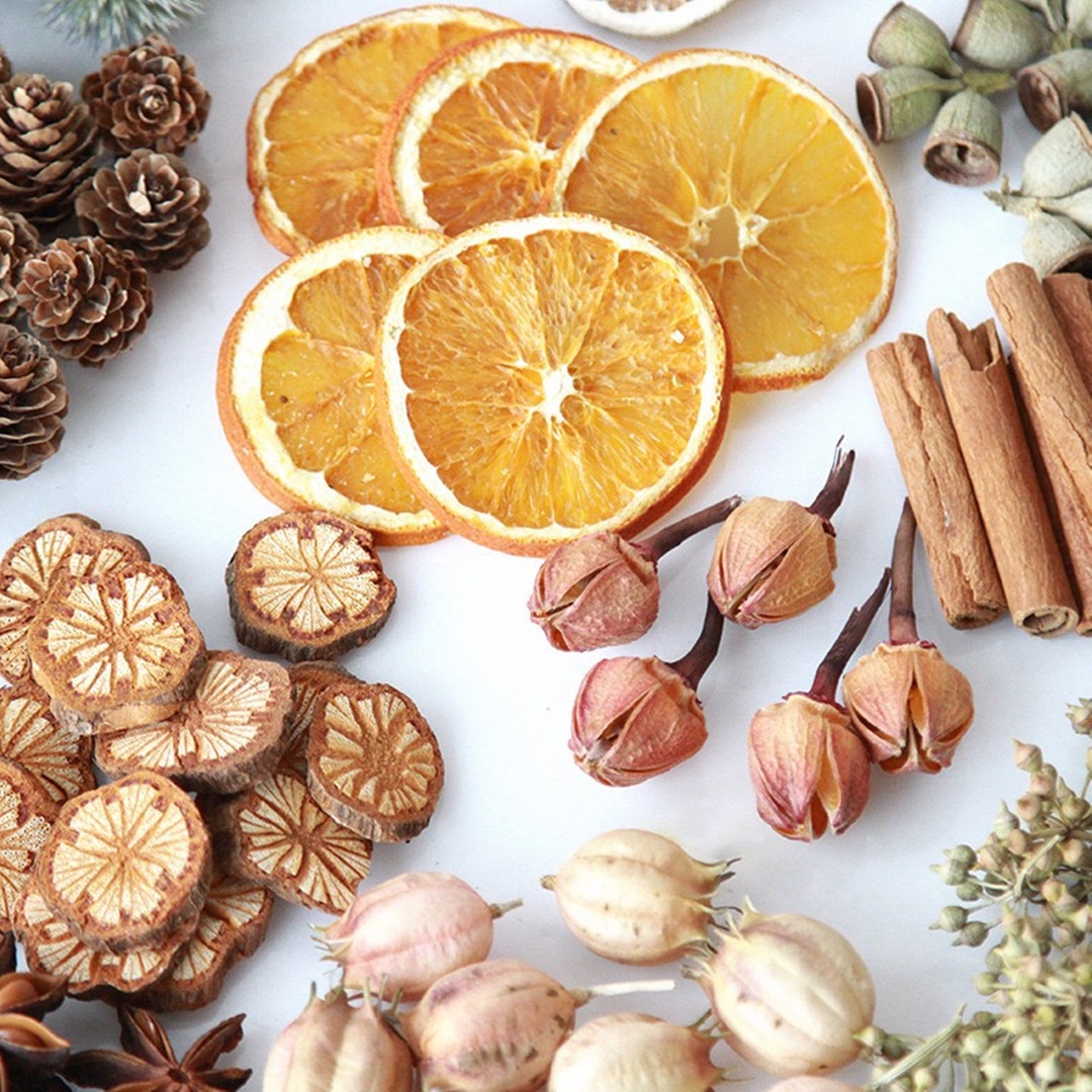 Dried Fruit, Natural Plant Dried Fruit, Acorn for Scented Candle , Diy ...