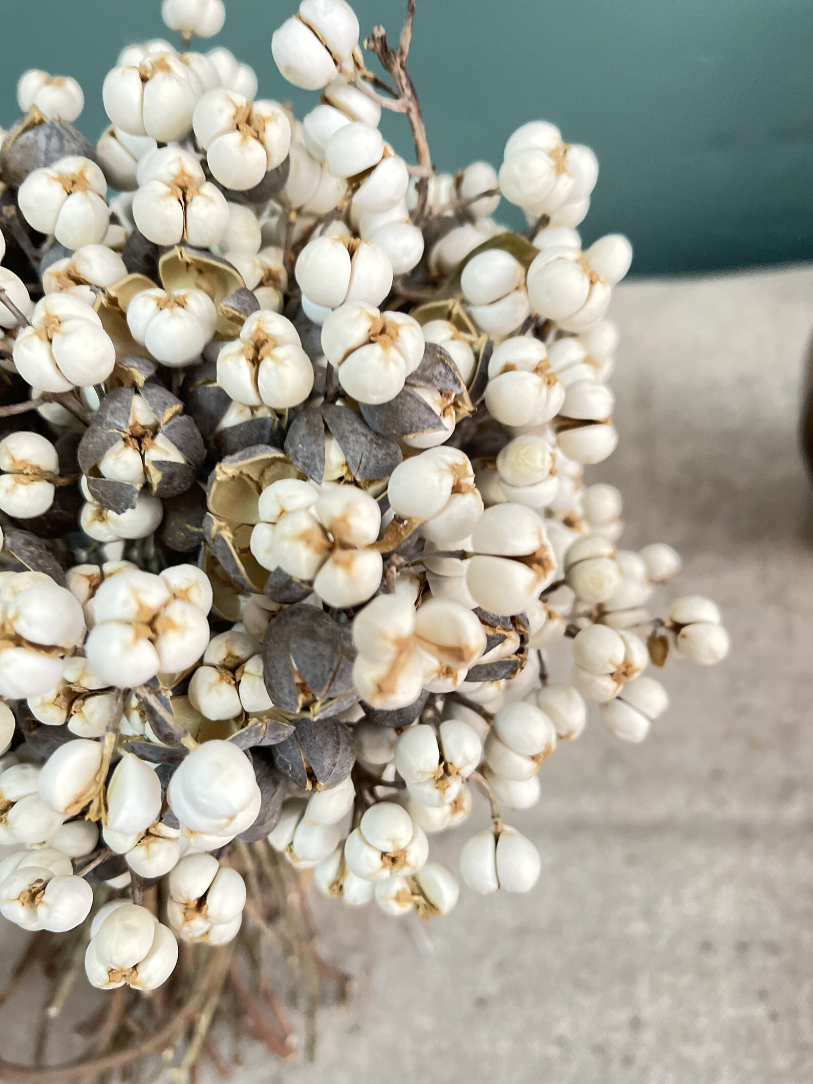 Dried Tallow Berry Bouquet: Natural White Fruit Stems, DIY Decor - Etsy