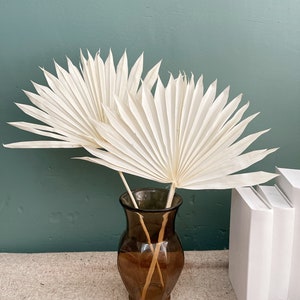 White Palm Leaf Bouquet: Small Reed & Star Decor - Etsy