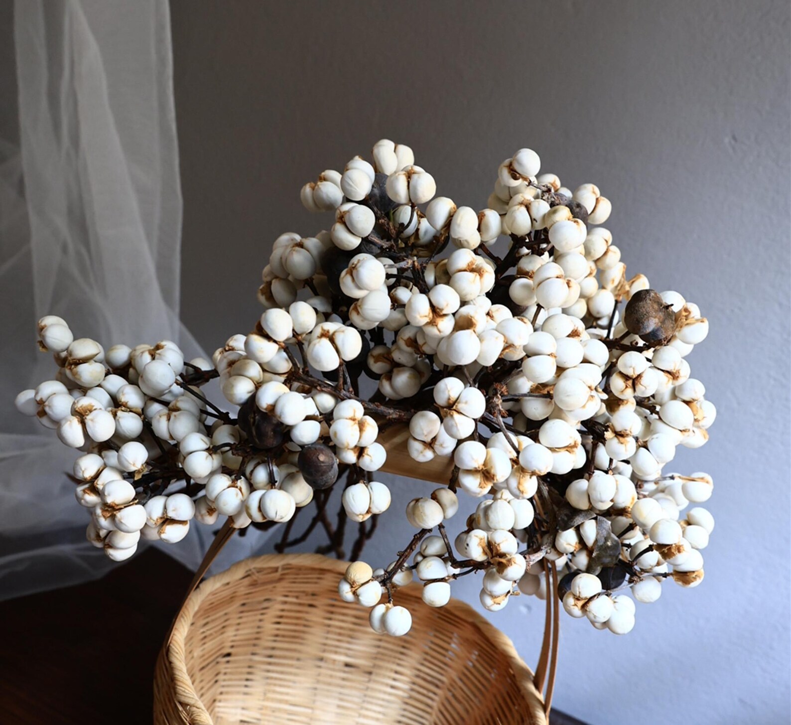 Dried Tallow Berry Bouquet: Natural White Fruit Stems, DIY Decor - Etsy