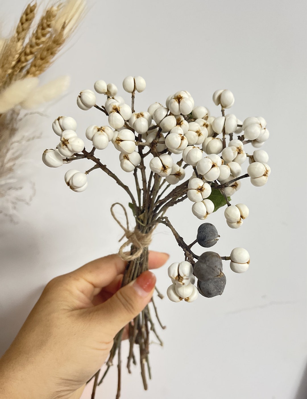 Dried Tallow Berry Bouquet, Natural White Fruit, DIY Floral Decor ...