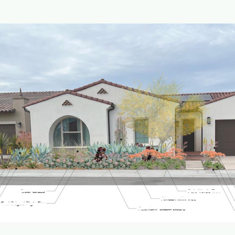 Custom Landscape Design, Turf Replacement Program, Water Rebate ...