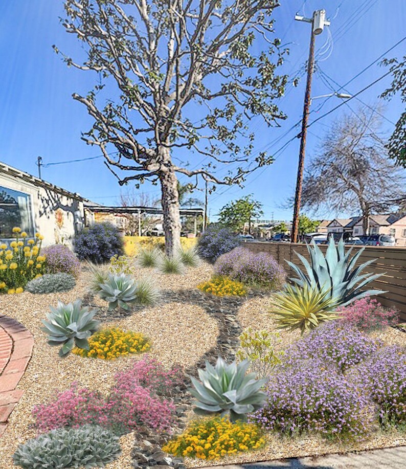 Custom Landscape Design, Turf Replacement Program, Water Rebate ...