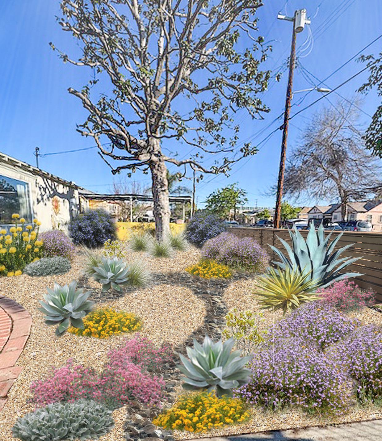 Custom Landscape Design, Turf Replacement Program, Water Rebate ...