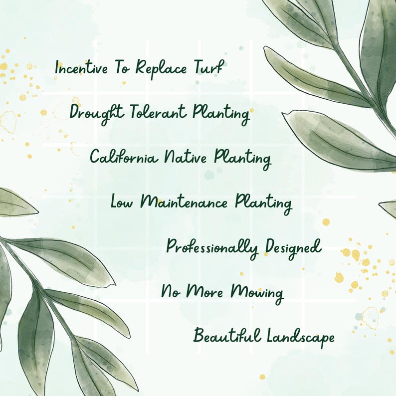 Custom Landscape Design, Turf Replacement Program, Water Rebate ...