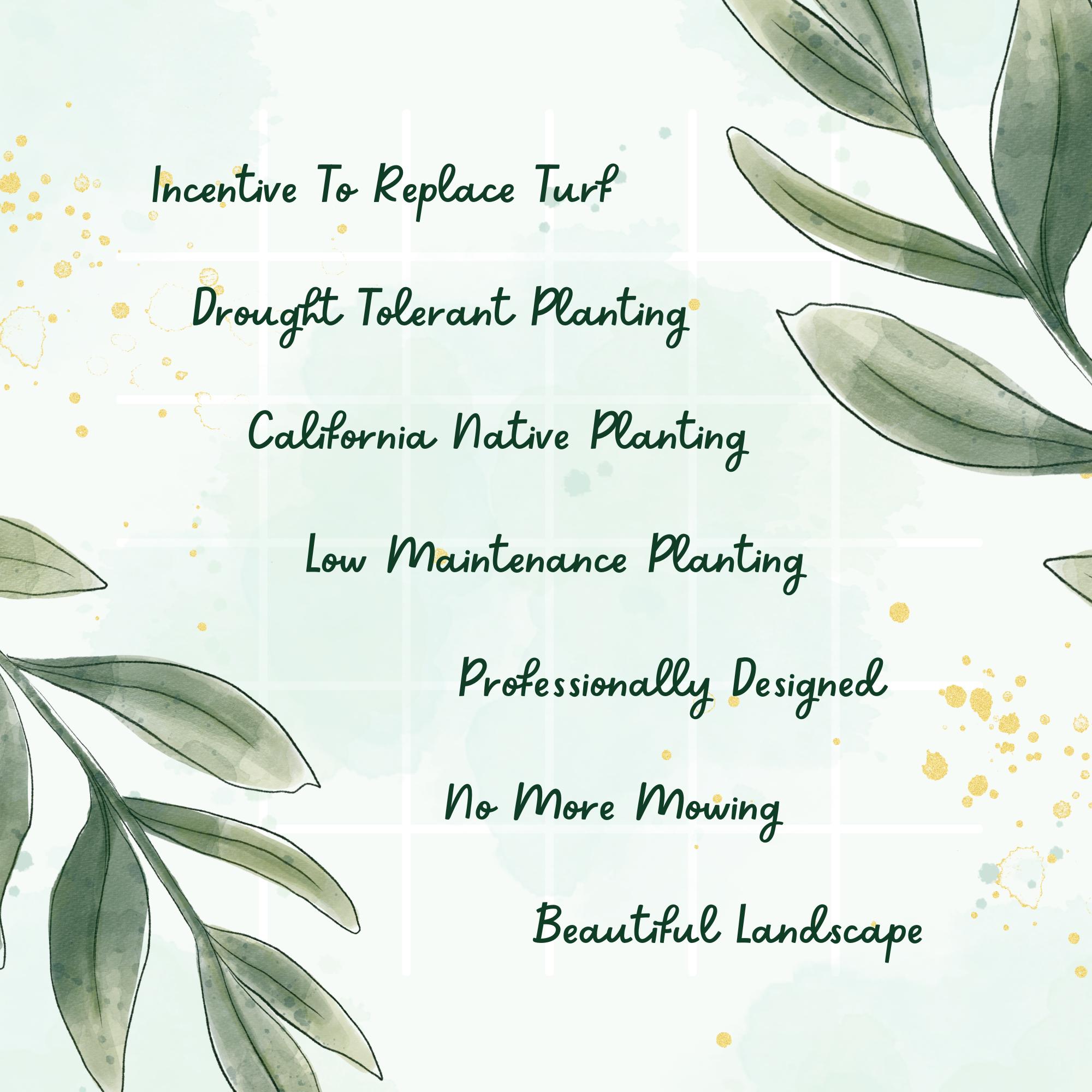 Custom Landscape Design, Turf Replacement Program, Water Rebate ...