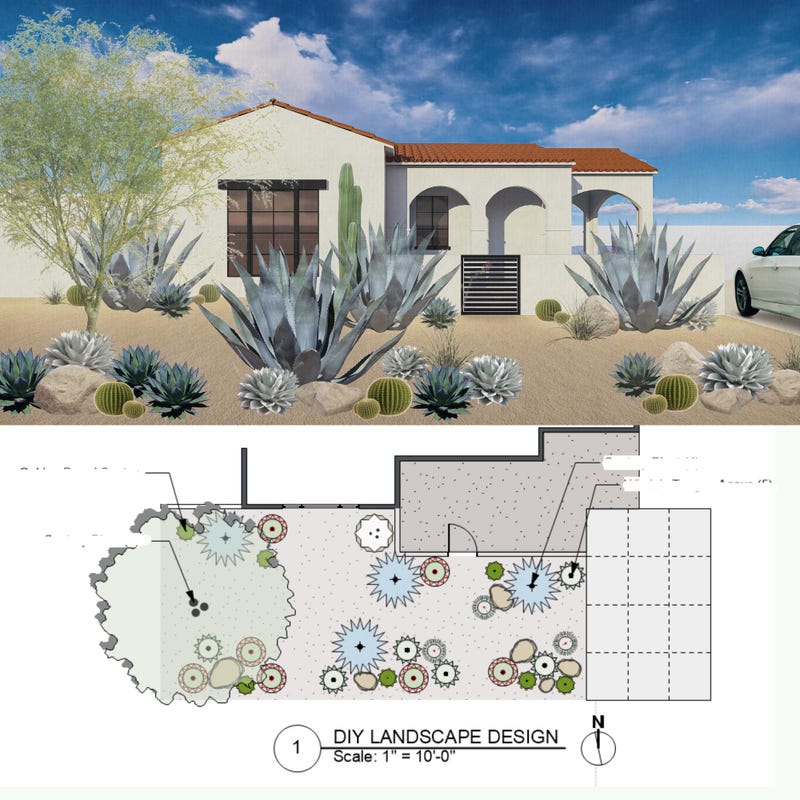 Zone 9 Landscape Design - Etsy