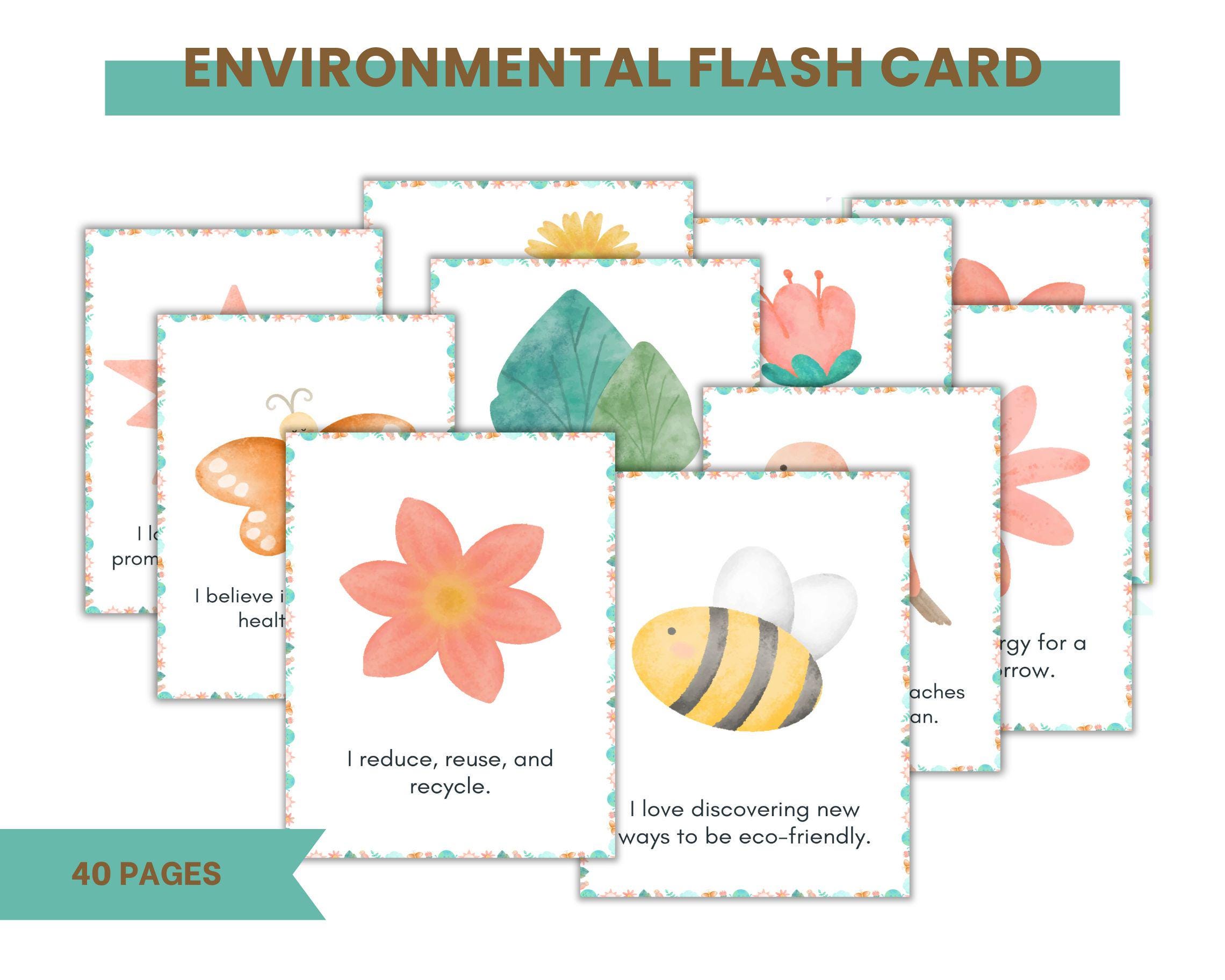Environmental Awareness Flash Cards | Green Education Cards | Nature ...