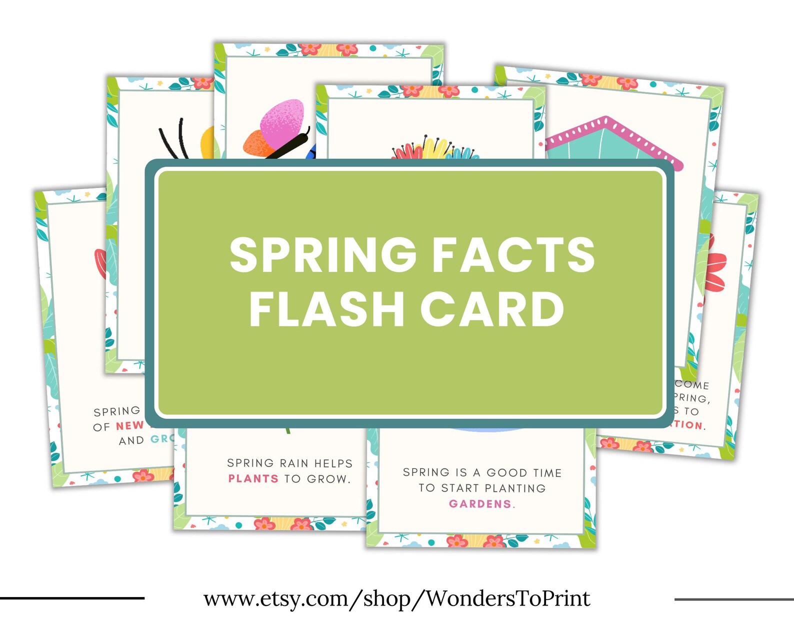 Spring Facts Flash Cards | Printable Flashcards | Educational Resources ...