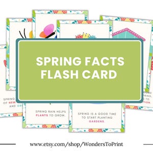 Spring Facts Flash Cards | Printable Flashcards | Educational Resources ...
