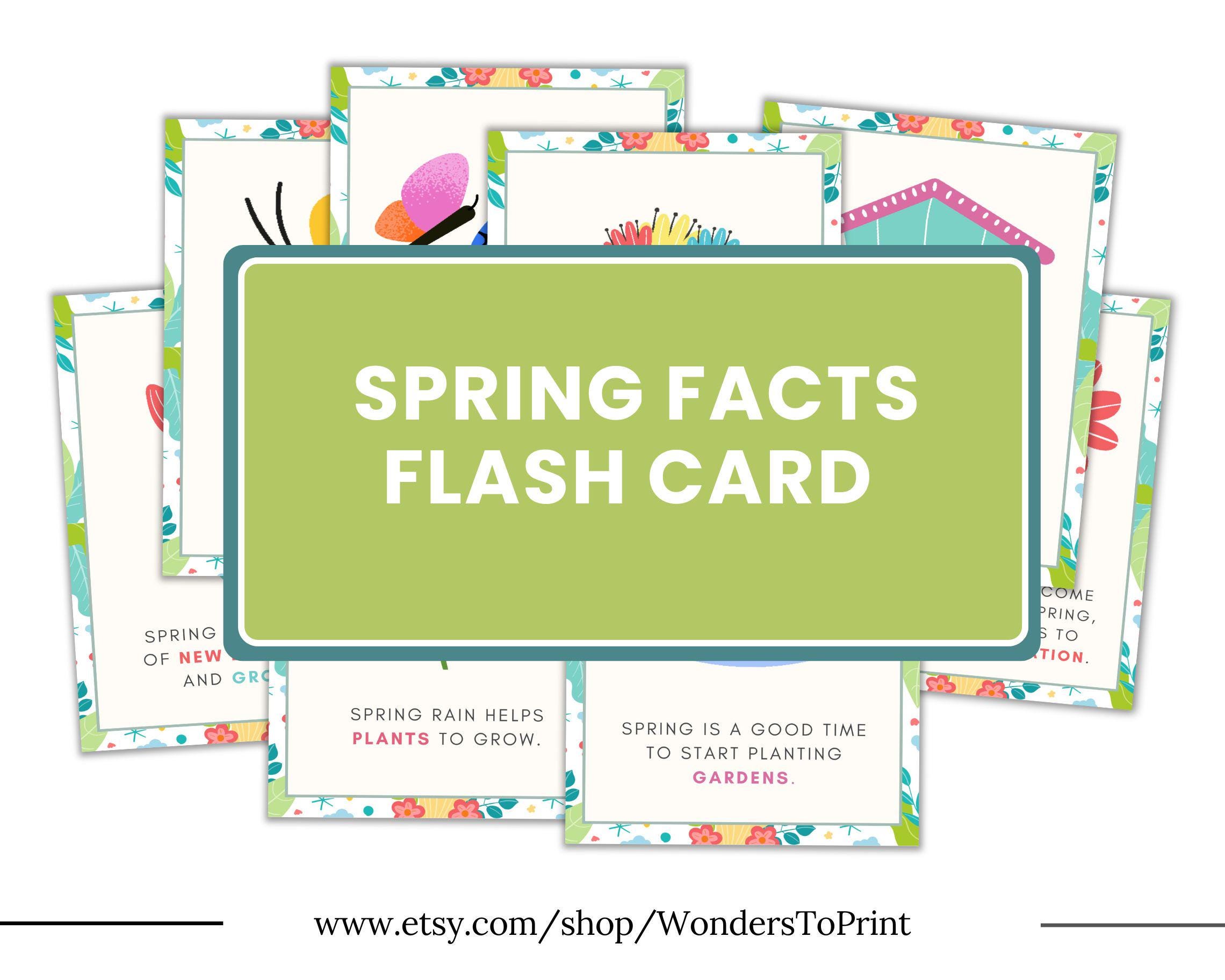 Spring Facts Flash Cards | Printable Flashcards | Educational Resources ...