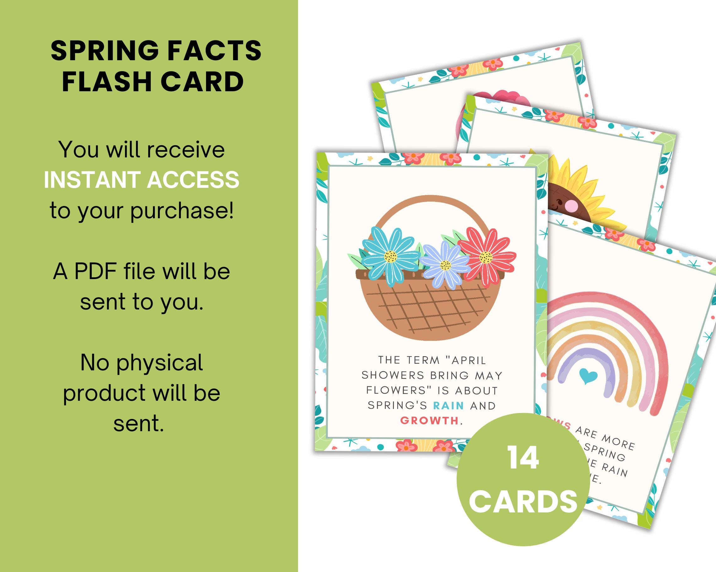 Spring Facts Flash Cards | Printable Flashcards | Educational Resources ...
