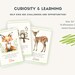 Woodland Animals Affirmation Cards Positive Affirmation Cards for Kids ...