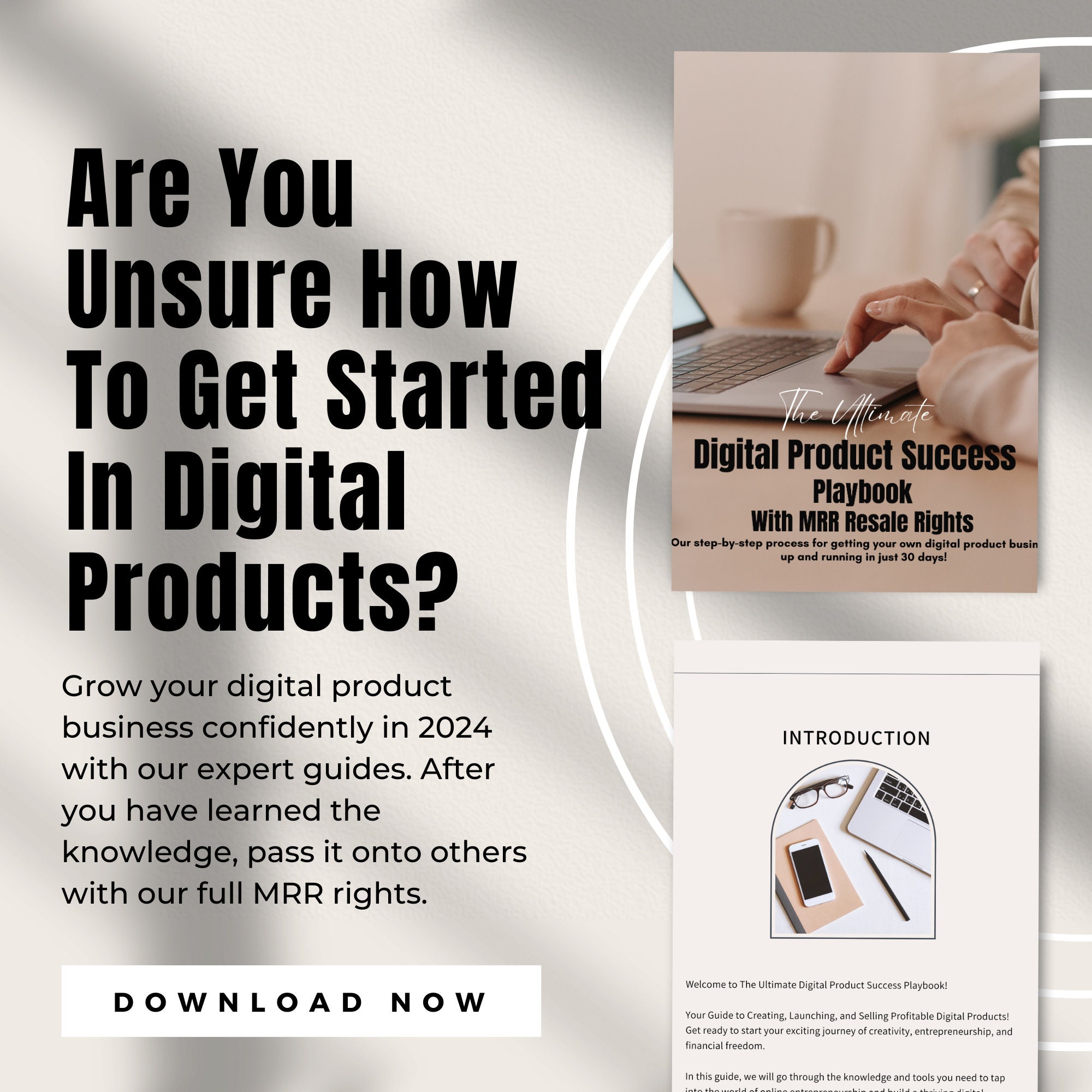 Done for You Ultimate Digital Product Success Guide, Ebook With Master ...