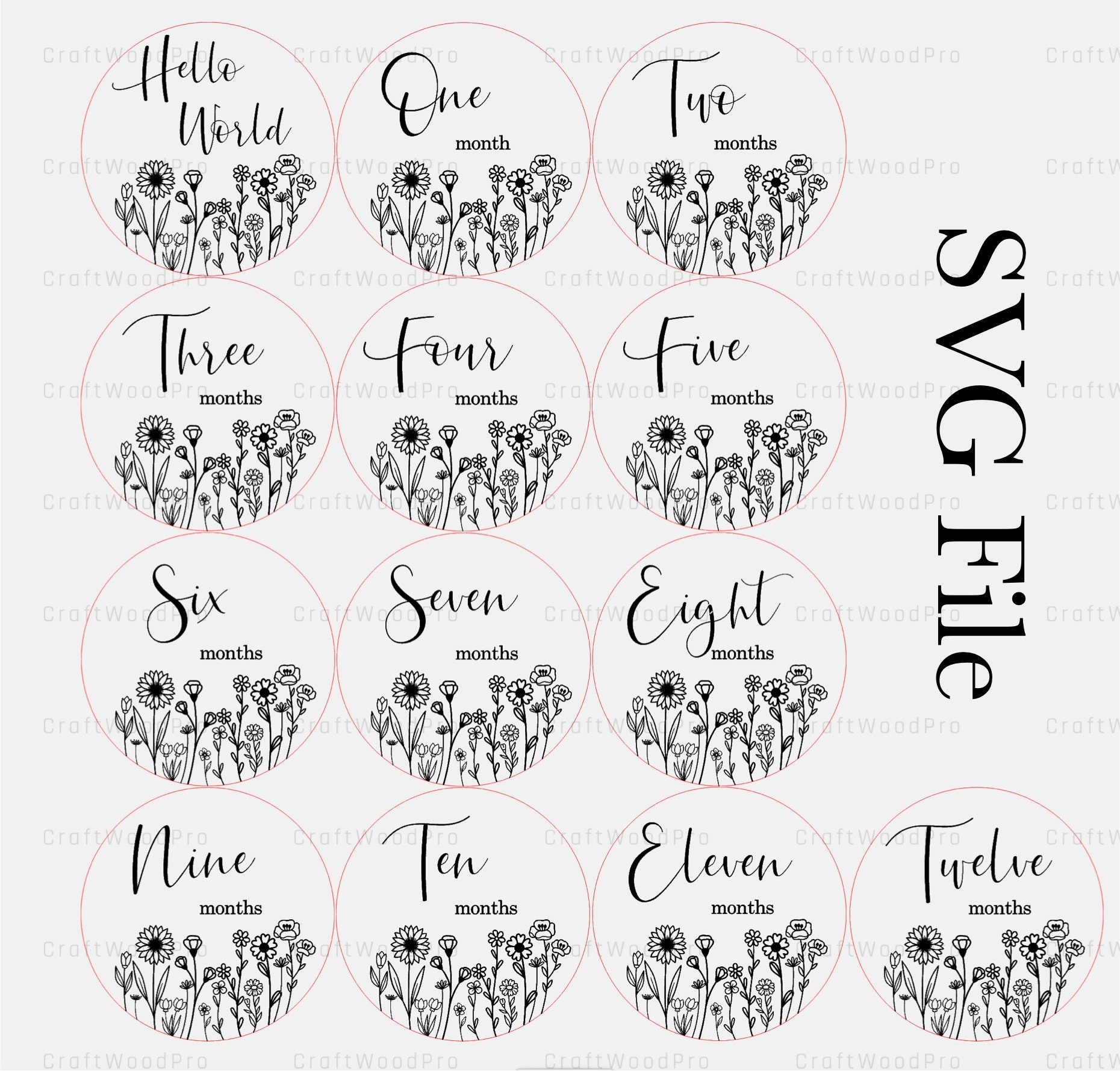 Flower Milestone Cards SVG File DIY - Etsy