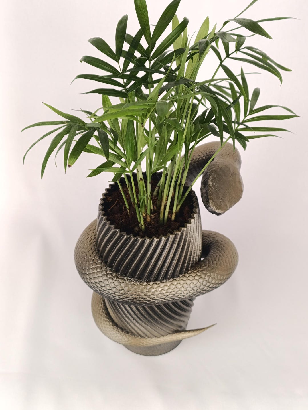Vertical Snake Planter – Unique and Eye-catching Home & Garden Decor - Etsy