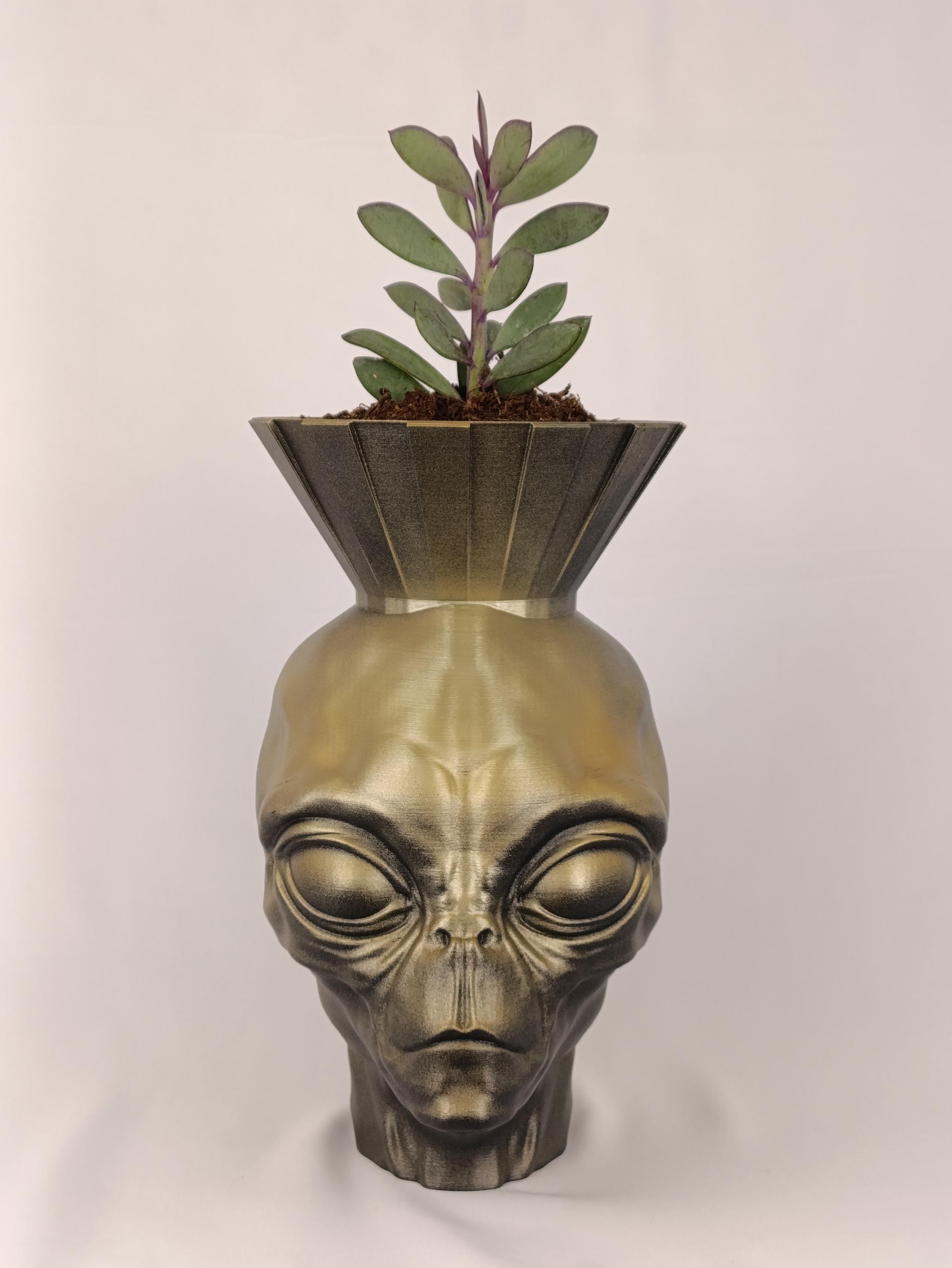 Alien Head Planter Futuristic and Bold Decor for Home or Garden - Etsy