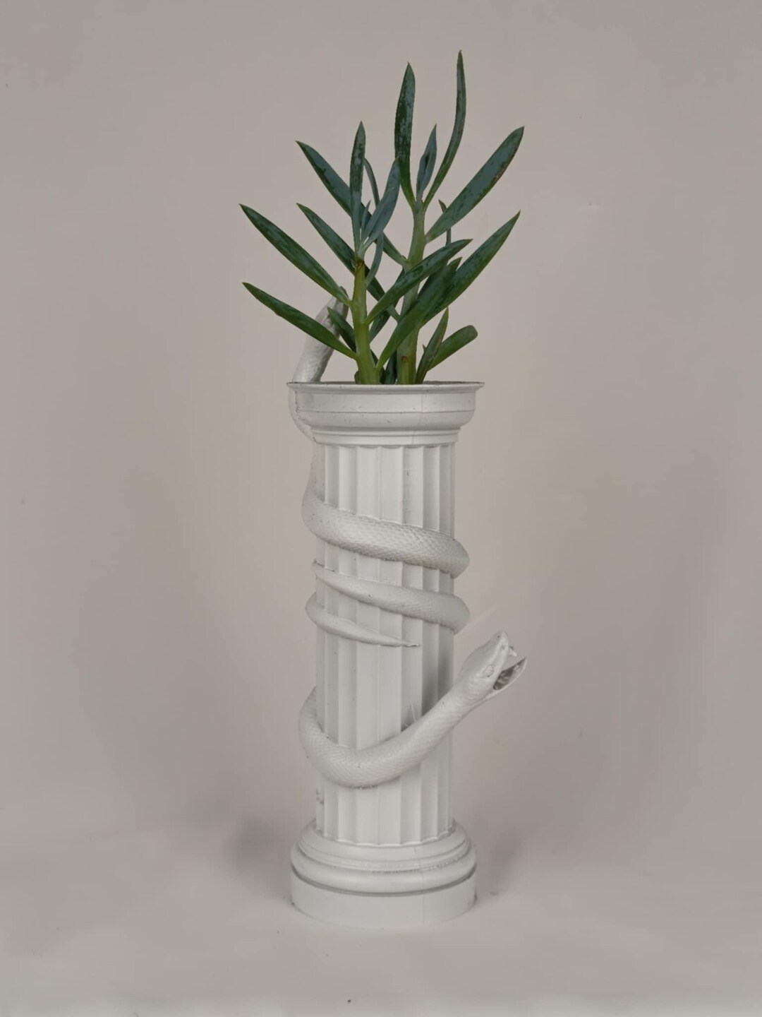 Roman Column Planter With Snake Design – 25cm Tall, 6cm Opening - Etsy