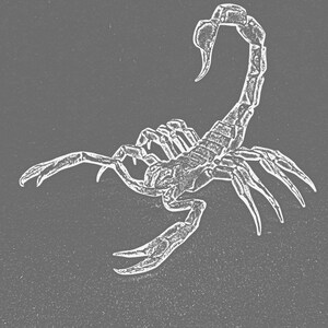 Hand Forged Iron Sculpture Scorpion, Unique Piece of Metal Art ...