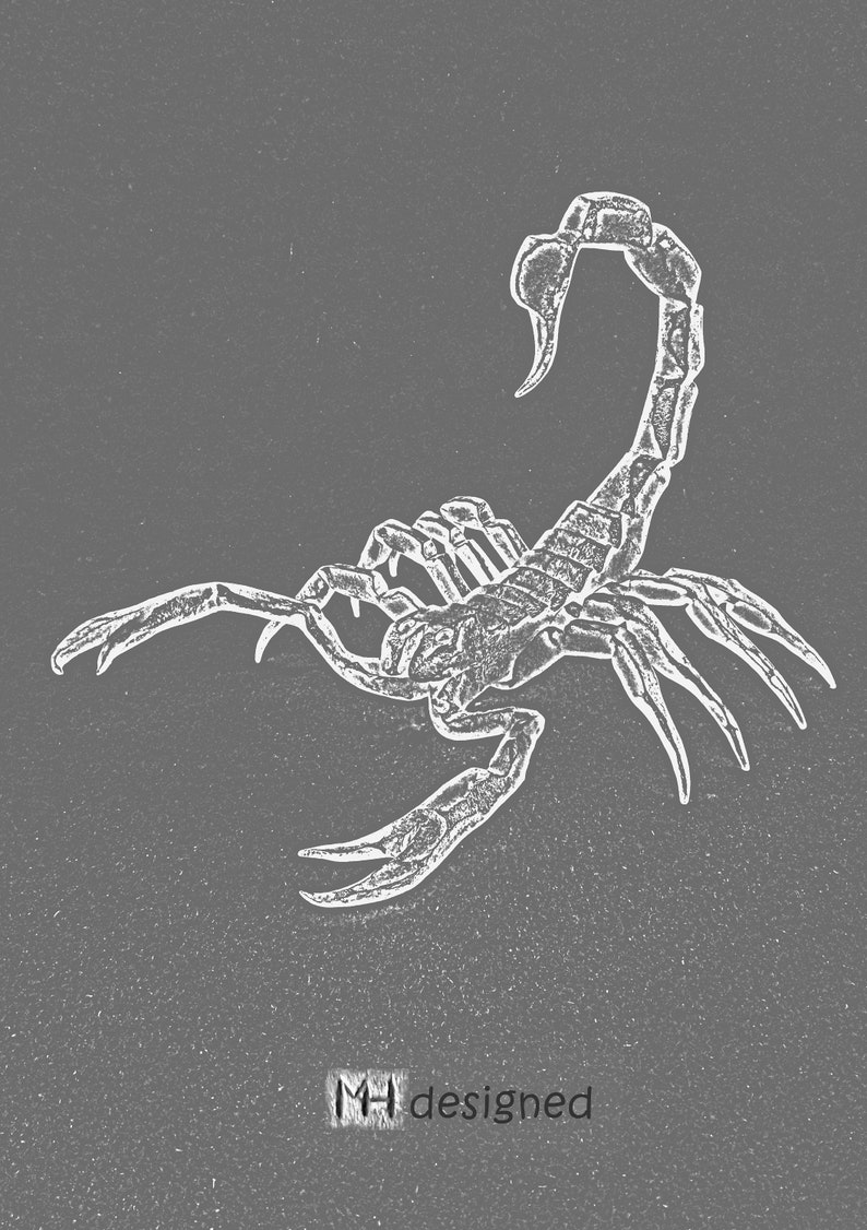 Hand Forged Iron Sculpture Scorpion, Unique Piece of Metal Art ...