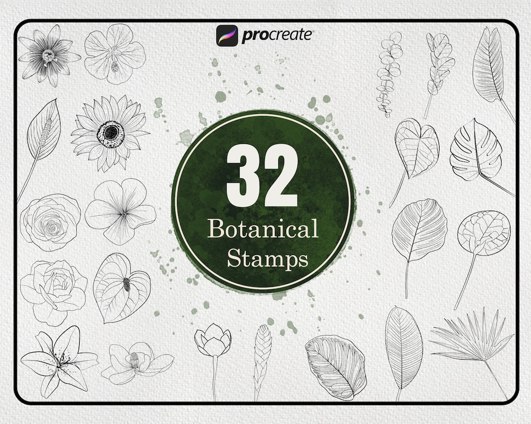 Procreate Botanical Stamp Brushes | Floral Stamp | Plant Stamps ...
