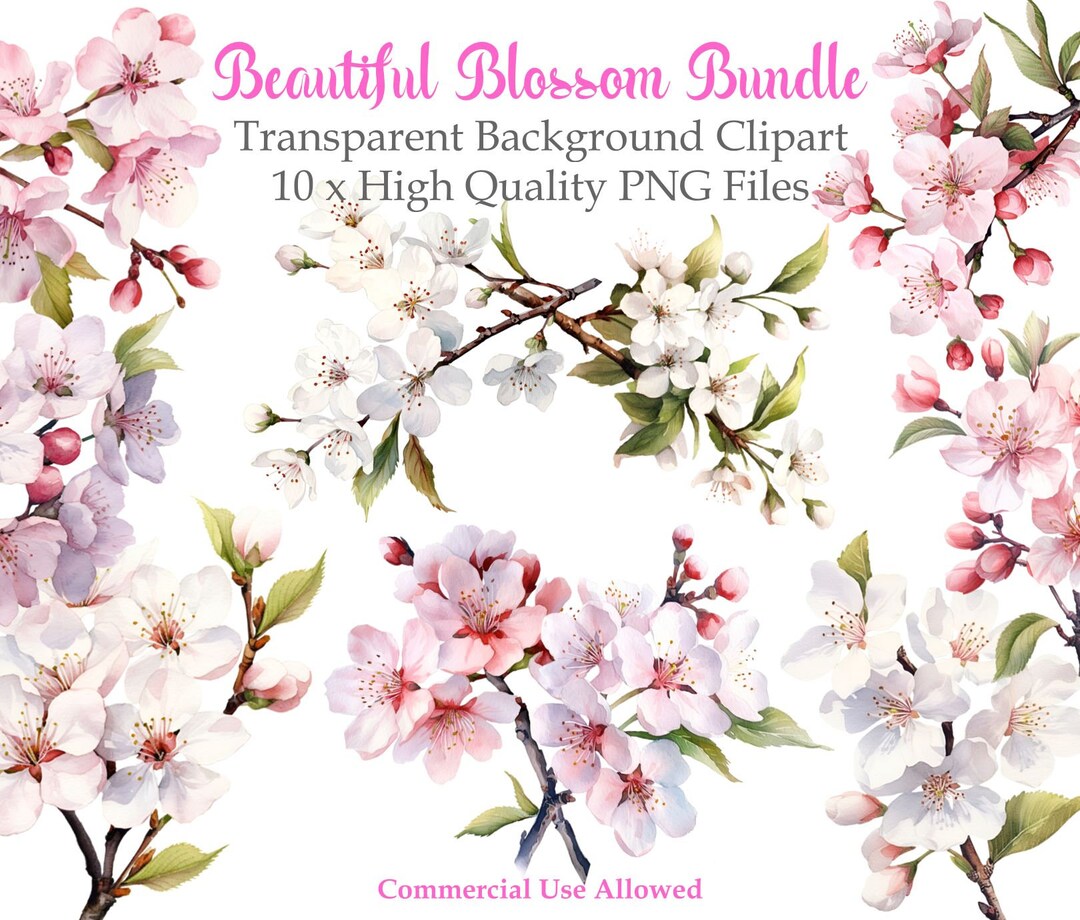 Cherry Blossom Clipart Collection, 10 Floral PNG Files for Your Digital ...