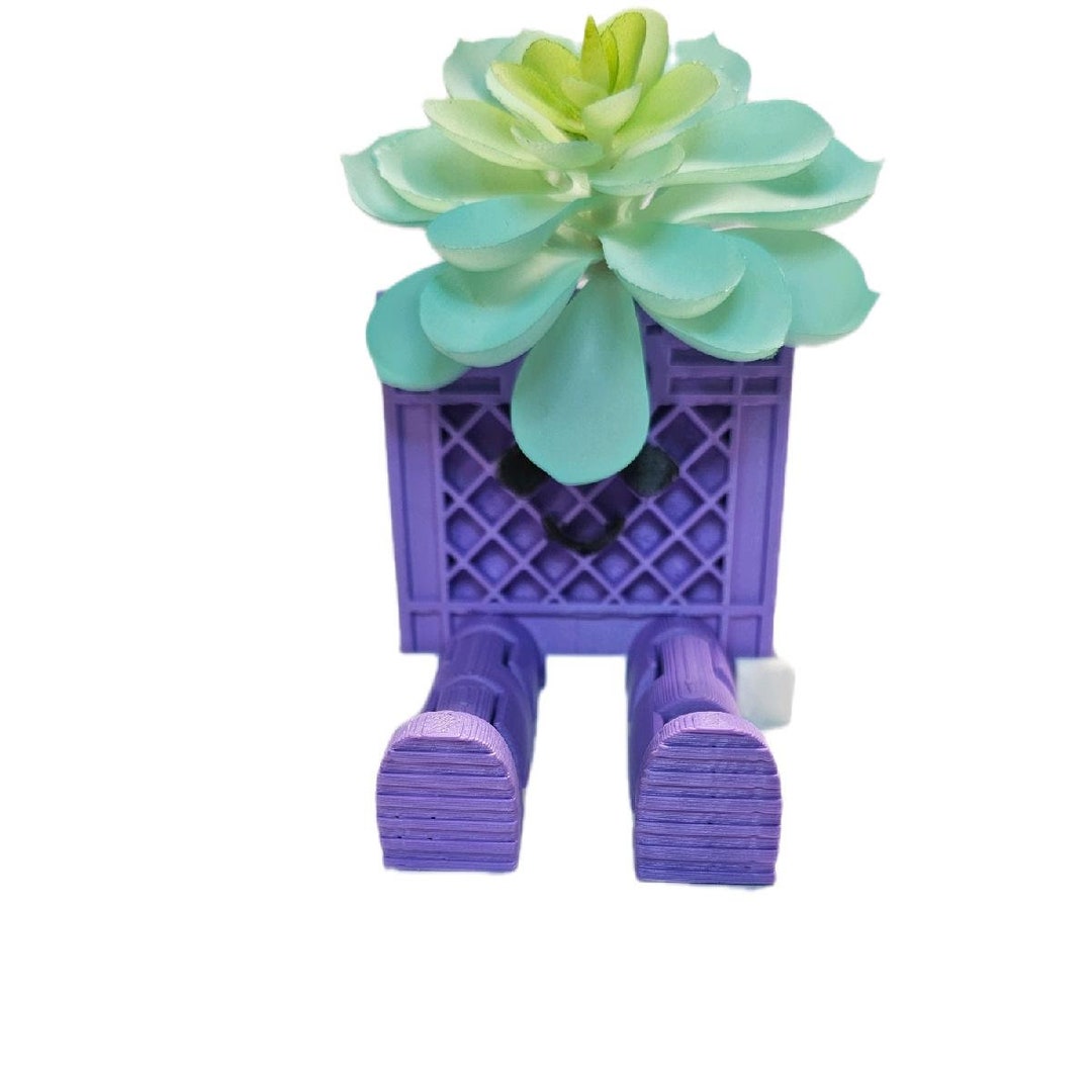 Mini Articulated Crate Planter Crate Inspired Planter Fun Planter ...