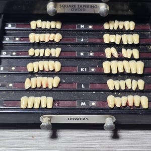 1930s Art Deco Dentist False Teeth Bakelite Cabinet - Etsy