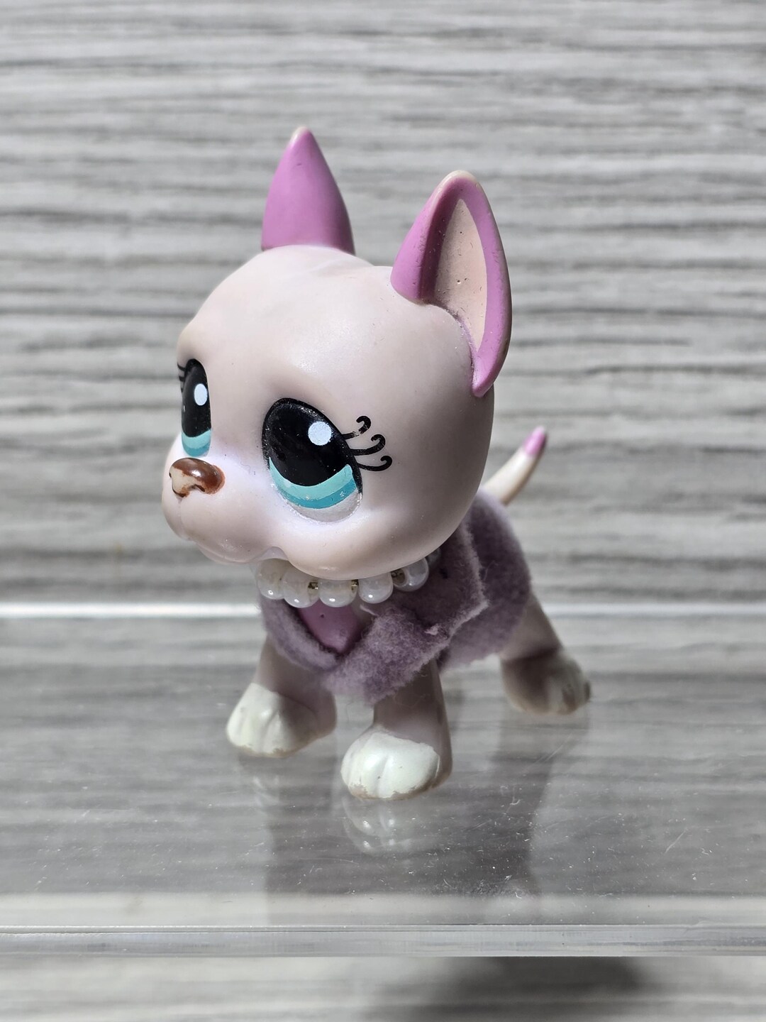 Great Dane Littlest Pet Shop LPS 1022 Outfit & Accessory Included - Etsy