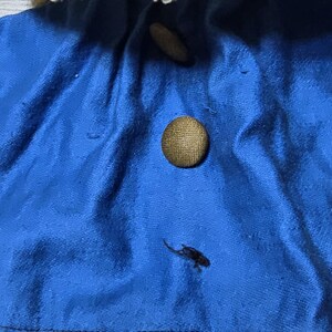 Antique Hand Carved Wood Head Felt Hands German Jester Hand Puppet ...