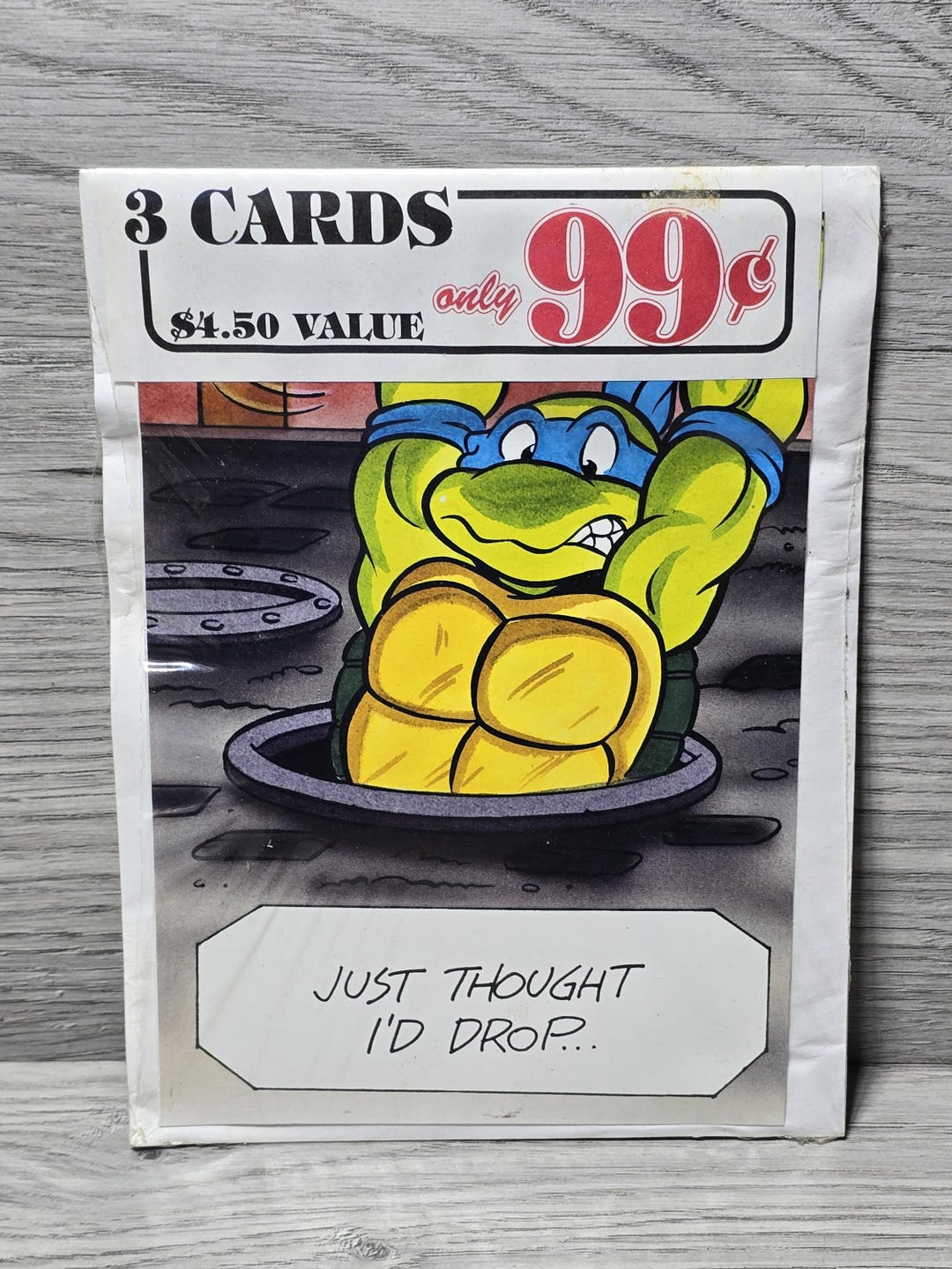 1989 SEALED TMNT Ninja Turtles Greeting Cards Pack (3 Cards) - Etsy