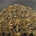 Solid Brass Tree/ Brass Bodhi Tree/ Brass Tree of Life/ Brass ...