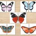 Butterfly Matching Card Game, Symmetry Puzzle, Butterfly Pattern Card ...