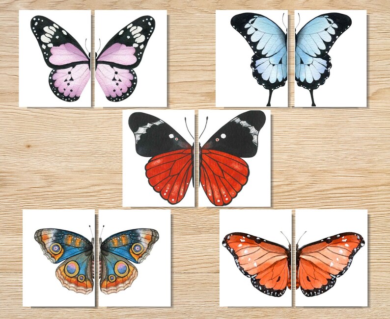 Butterfly Matching Card Game, Symmetry Puzzle, Butterfly Pattern Card ...