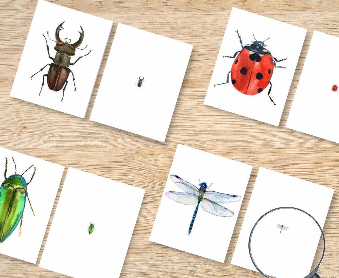 Insect Magnifying Match Activity, Kindergarten Winter Activity, Toddler ...