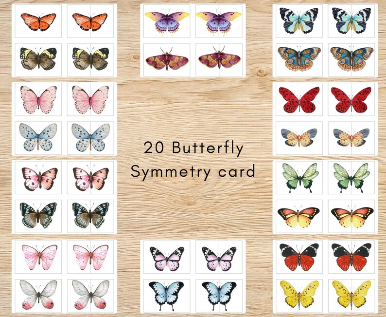 Butterfly Matching Card Game, Symmetry Puzzle, Butterfly Pattern Card ...