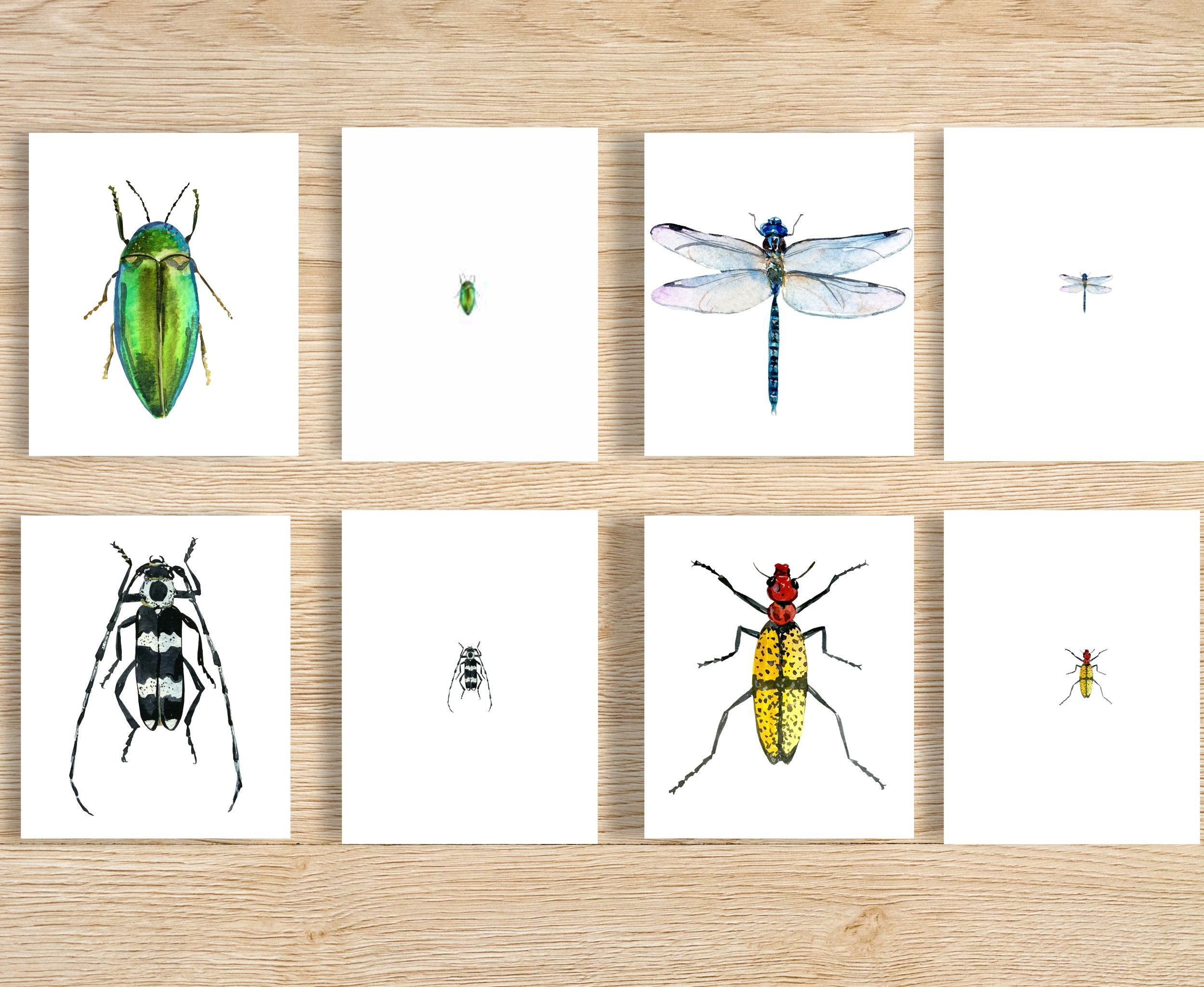 Insect Magnifying Match Activity, Kindergarten Winter Activity, Toddler ...