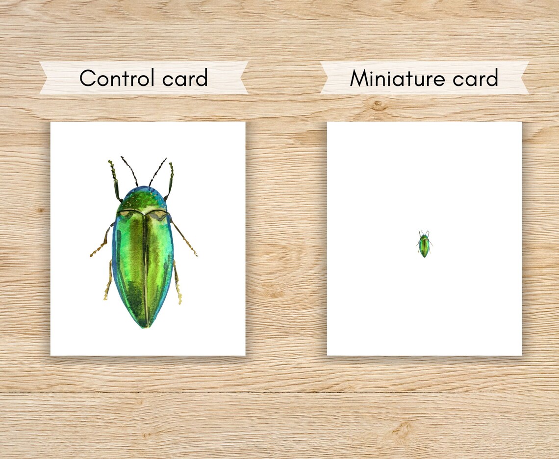 Insect Magnifying Match Activity, Kindergarten Winter Activity, Toddler ...