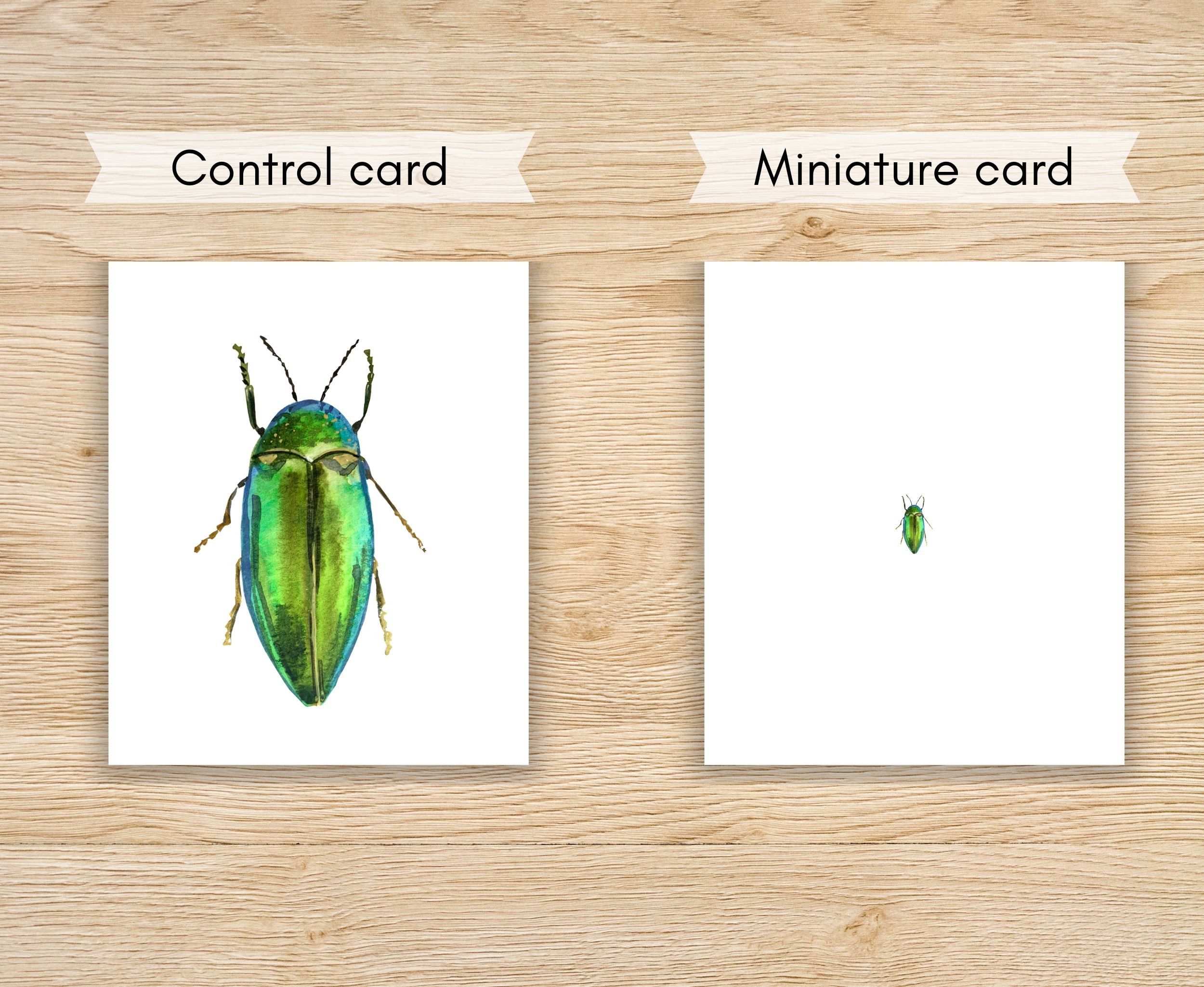 Insect Magnifying Match Activity, Kindergarten Winter Activity, Toddler ...