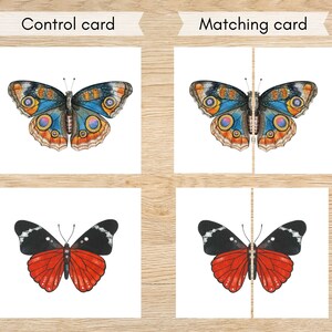 Butterfly Matching Card Game, Symmetry Puzzle, Butterfly Pattern Card ...